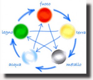 13. I CINQUE ELEMENTI - Il filo diretto con l'agopuntura